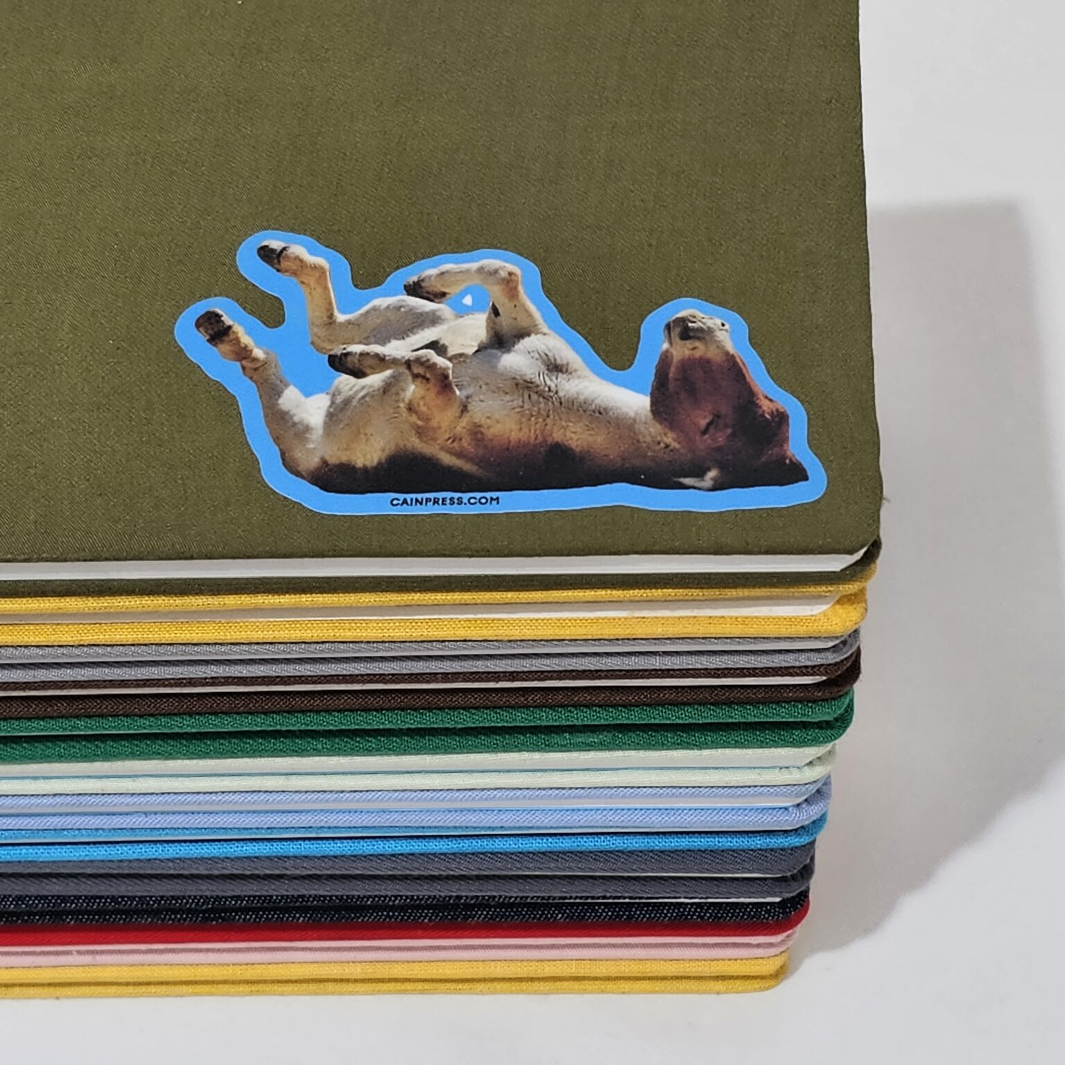 CAIN PRESS – Iniciativa Editorial